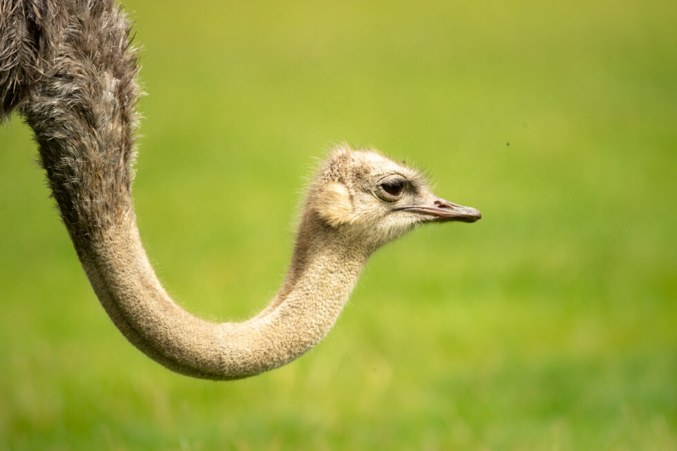 Beginners workshop wildlife | Zoom Photo Tours